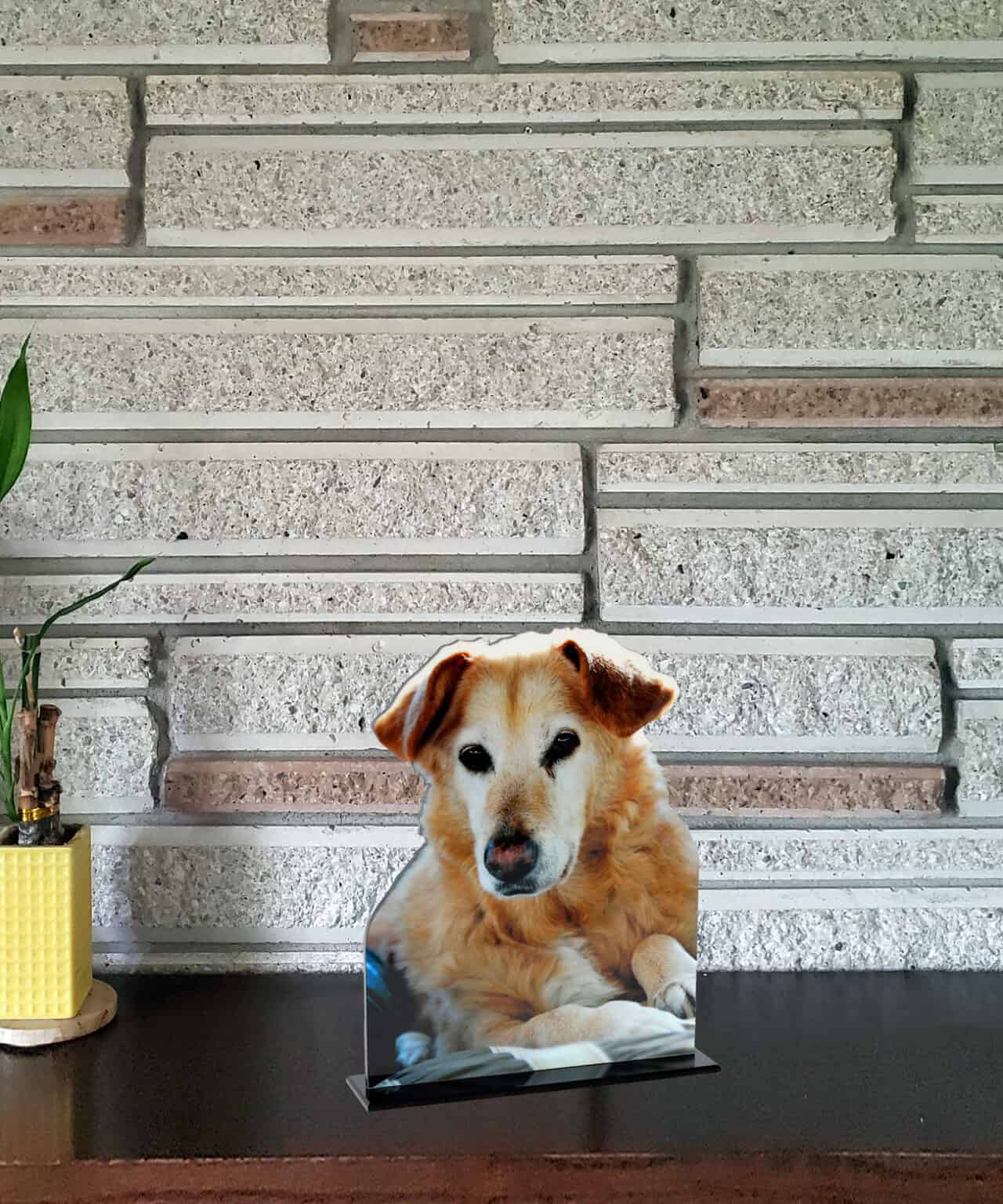 Photo Cutouts From Your Photos