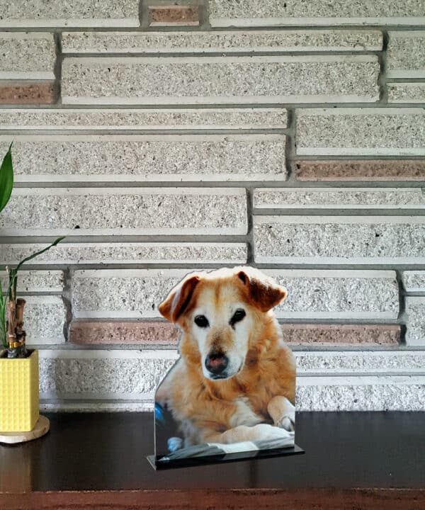 Photo Cutouts From Your Photos