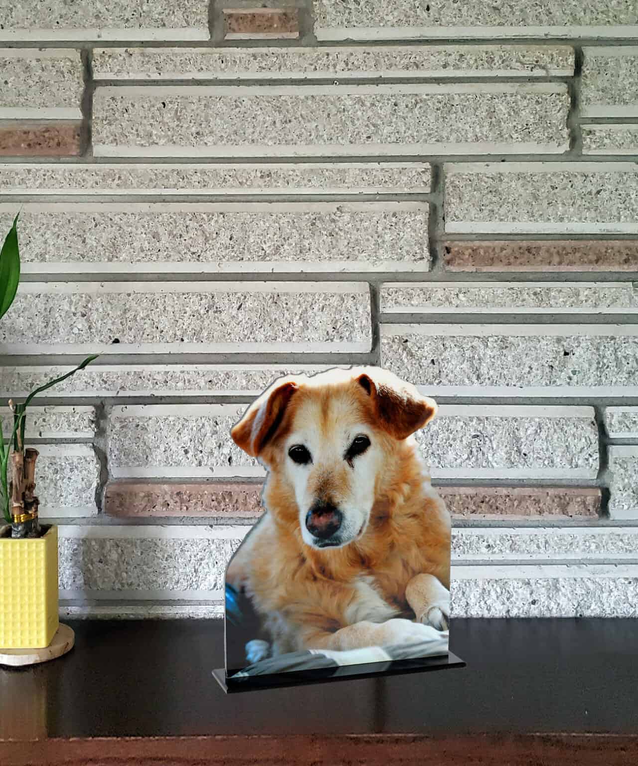 Photo Cutouts From Your Photos